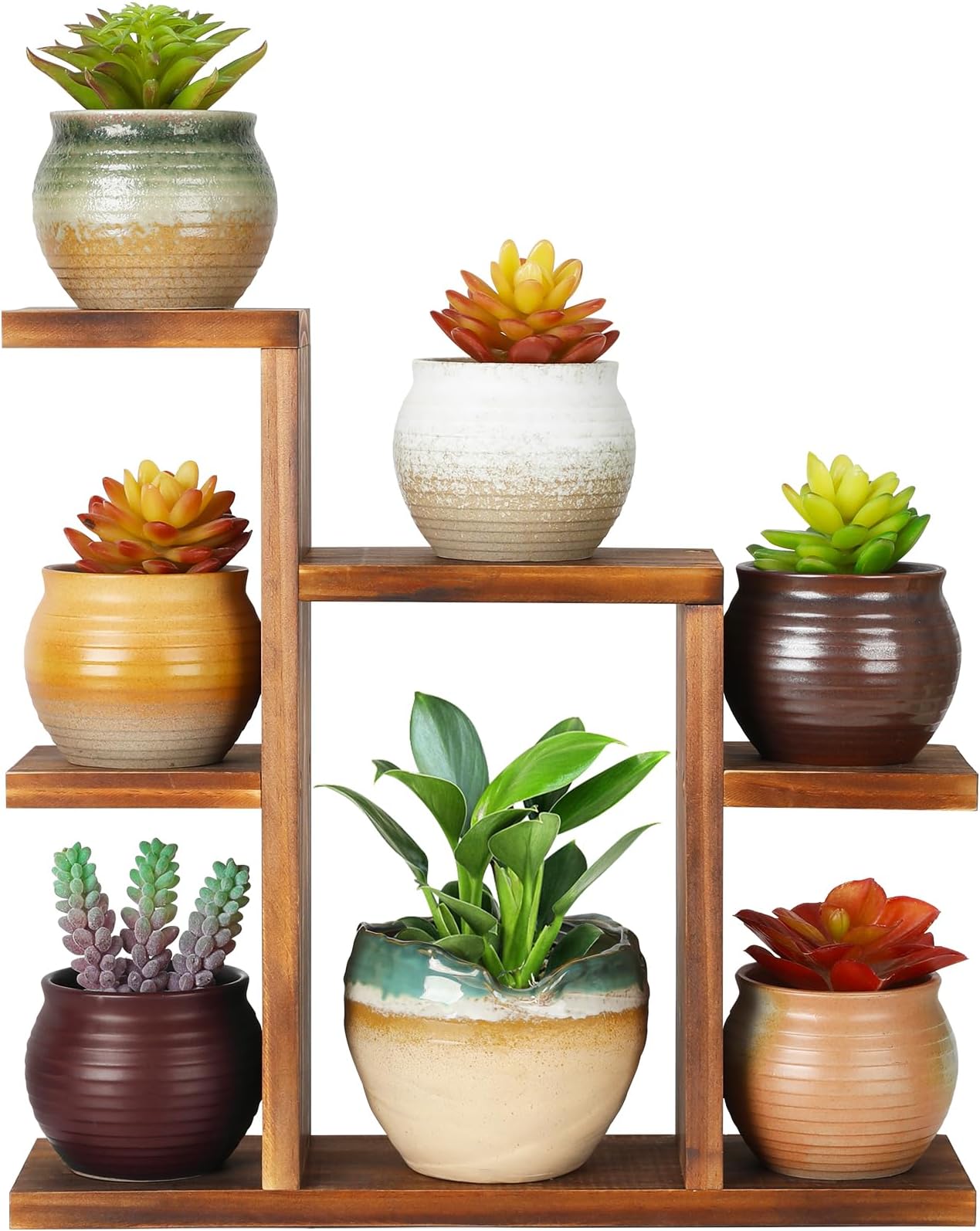 Amazon.com: OLizee® 5 Tier Wood Plant Riser Stand Tabletop Tiered Plant ...