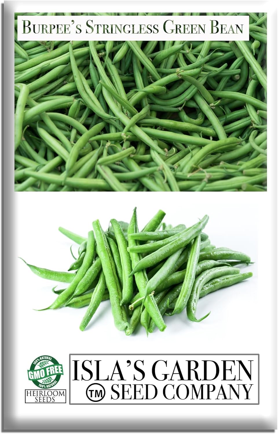 Amazon.com : Burpee Stringless Green Bean Seeds (Phaseolus vulgaris ...