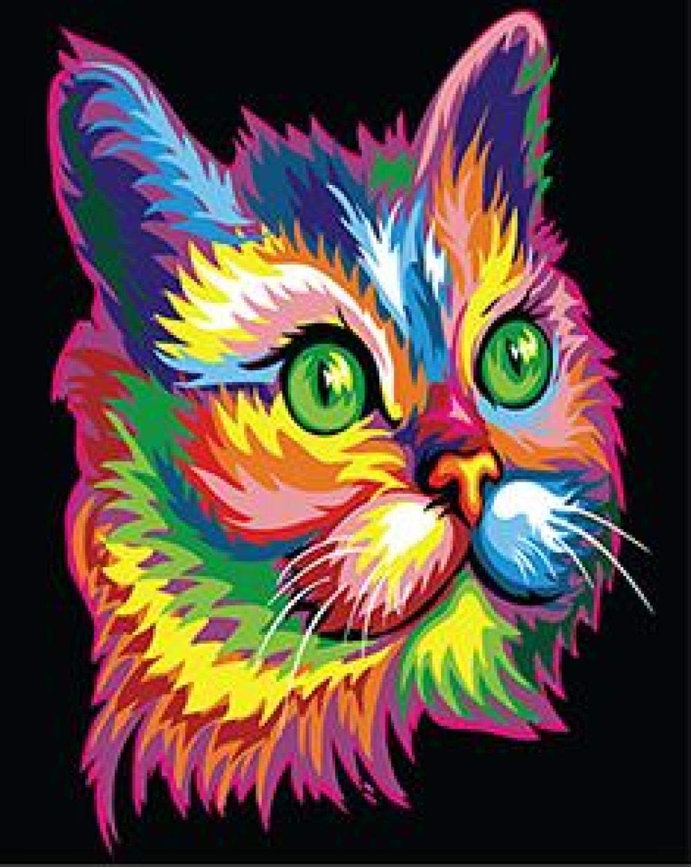 Buy Warna kucing lukisan Digital, Lukisan minyak hewan, Kit Digital ...