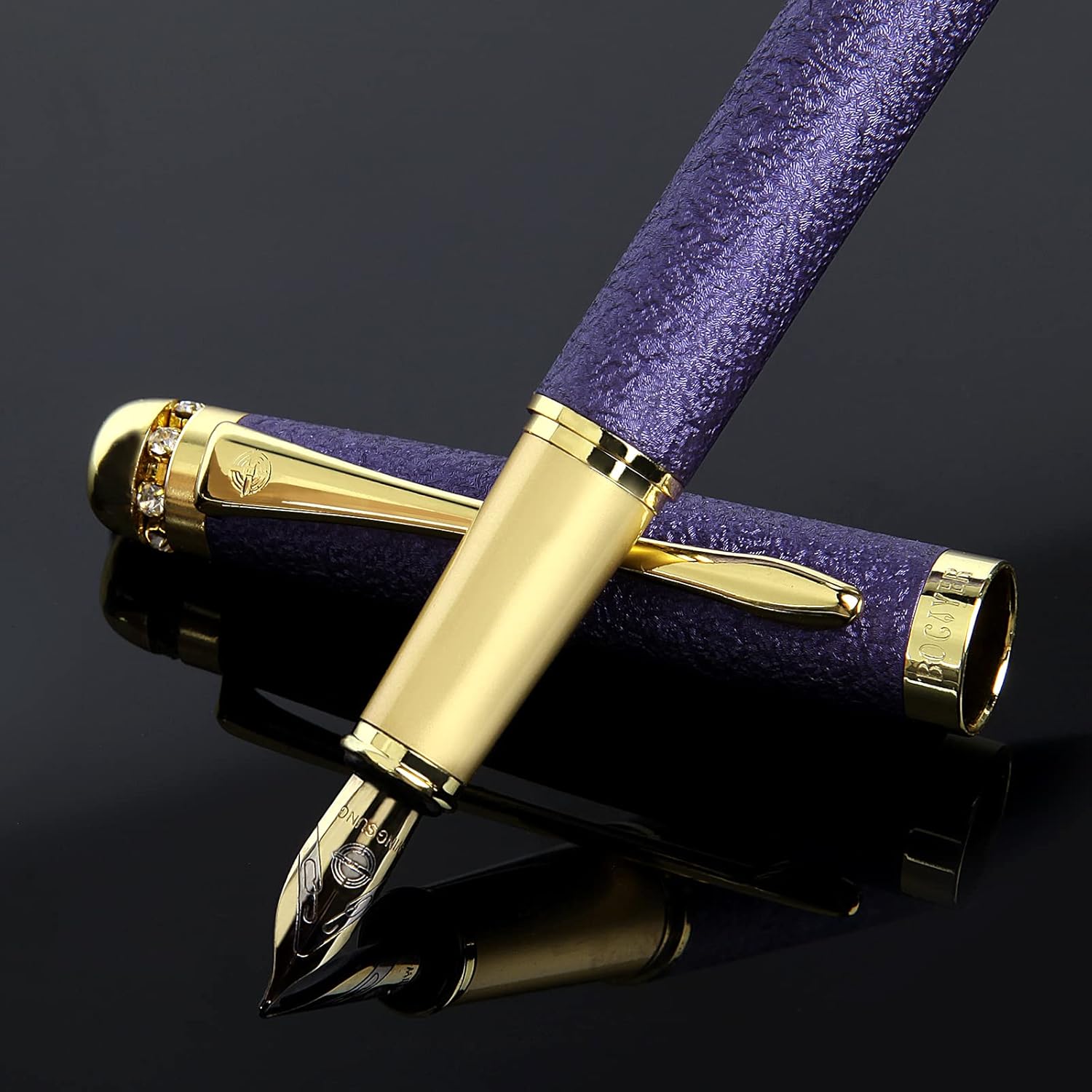BOCIYER fancy fountain pen set,Luxury Fine Nib,Includes 10 Ink ...