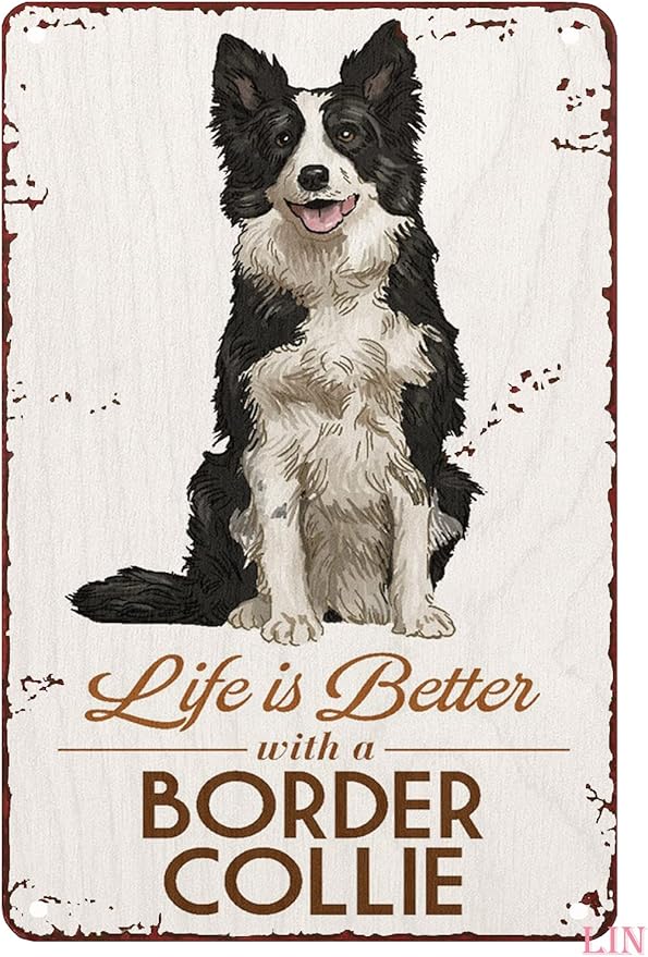 Amazon.com: Metal Signs for Bedroom Border Collie Life Is Better With A ...
