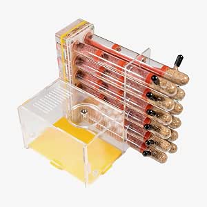 Amazon.com: Lunvex Plaster test tube adult ant farm acrylic transparent ...