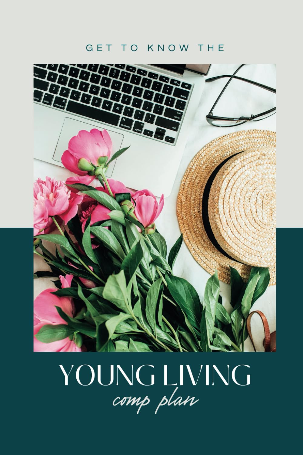 Get to Know the Young Living Comp Plan: Raskin, Ally: 9798378109197 ...