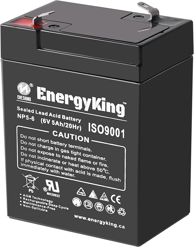 EnergyKing Lampe d'urgence rechargeable ISO9001 6 V 5 Ah : Amazon.ca ...