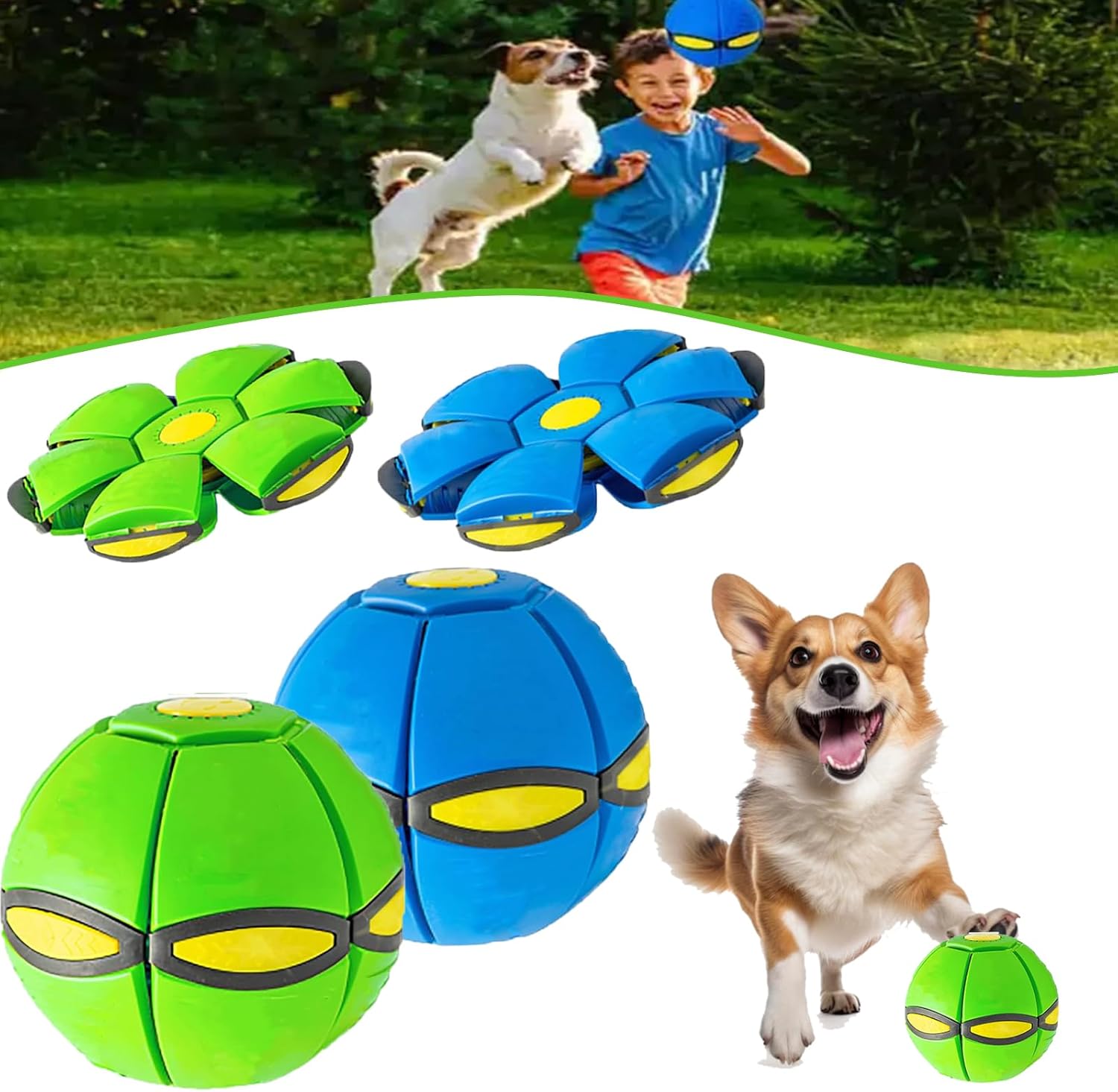 Amazon.com : Ancientflow Doggy Disc Ball, Doggy Disc Ball, Doggy Disc ...