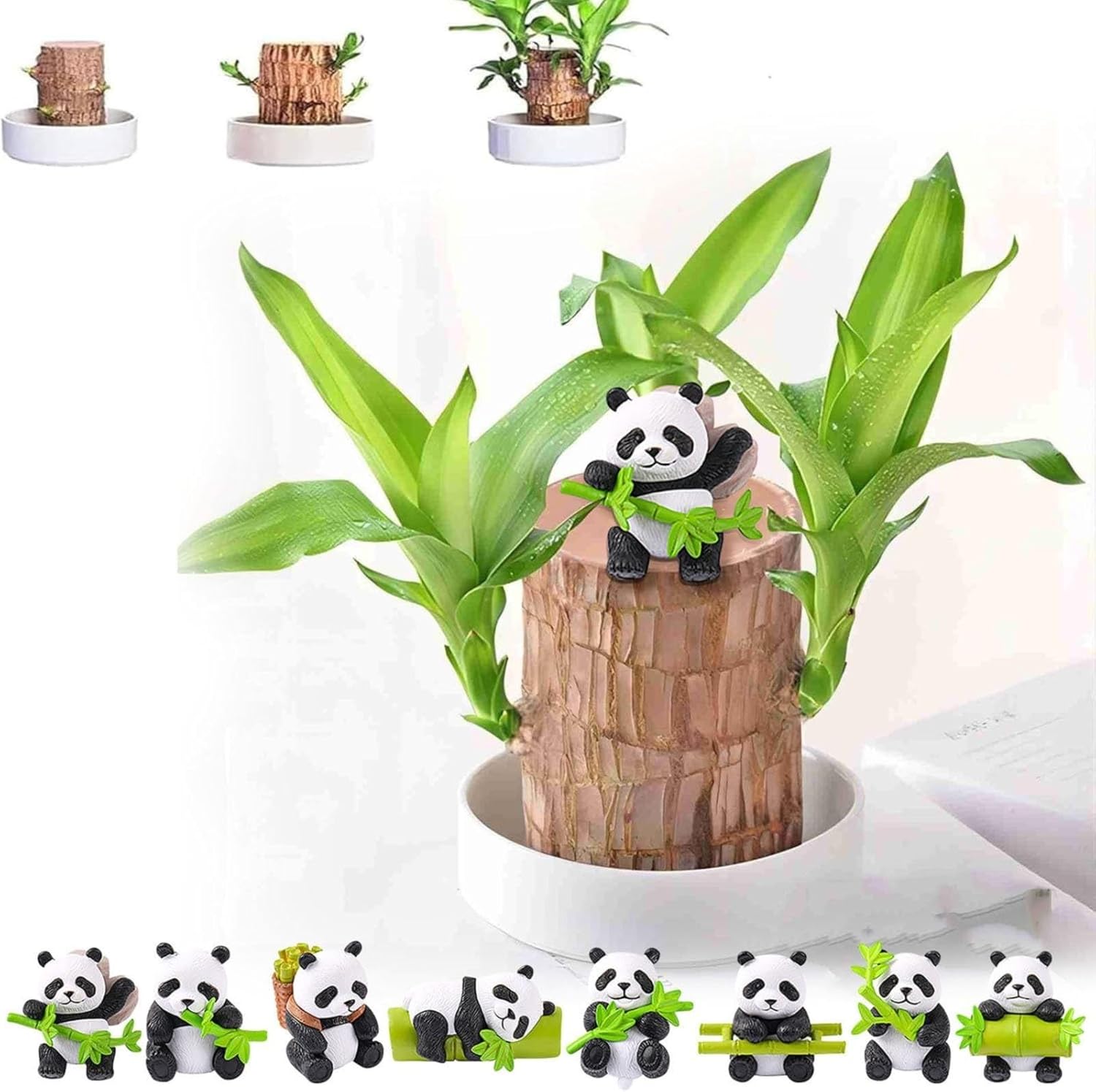 Amazon.com : Brazilian Wood Decor, 2024 New Mini Brazil Lucky Wood with ...