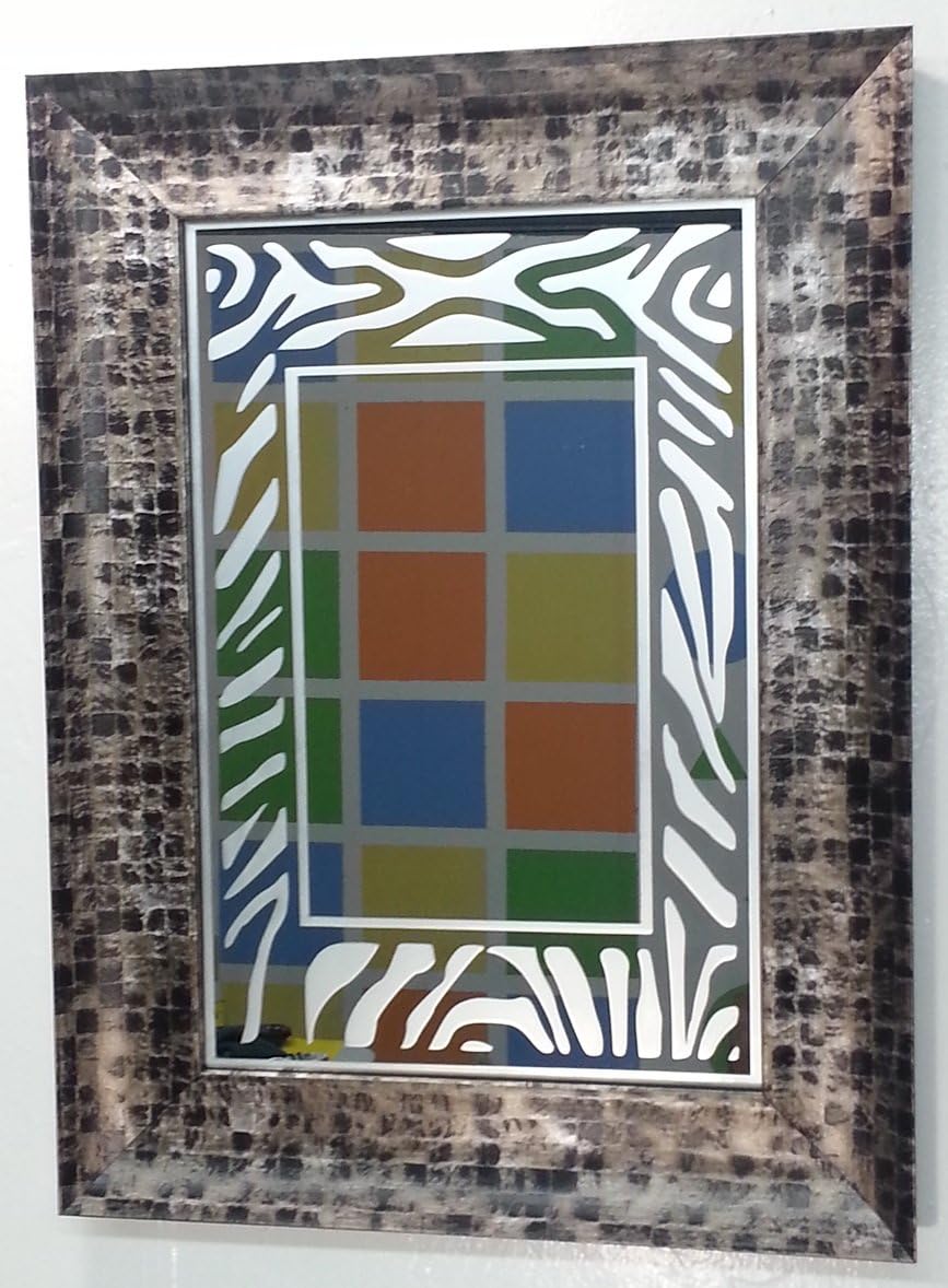Amazon.com: ZEBRA WALL MIRROR : Home & Kitchen