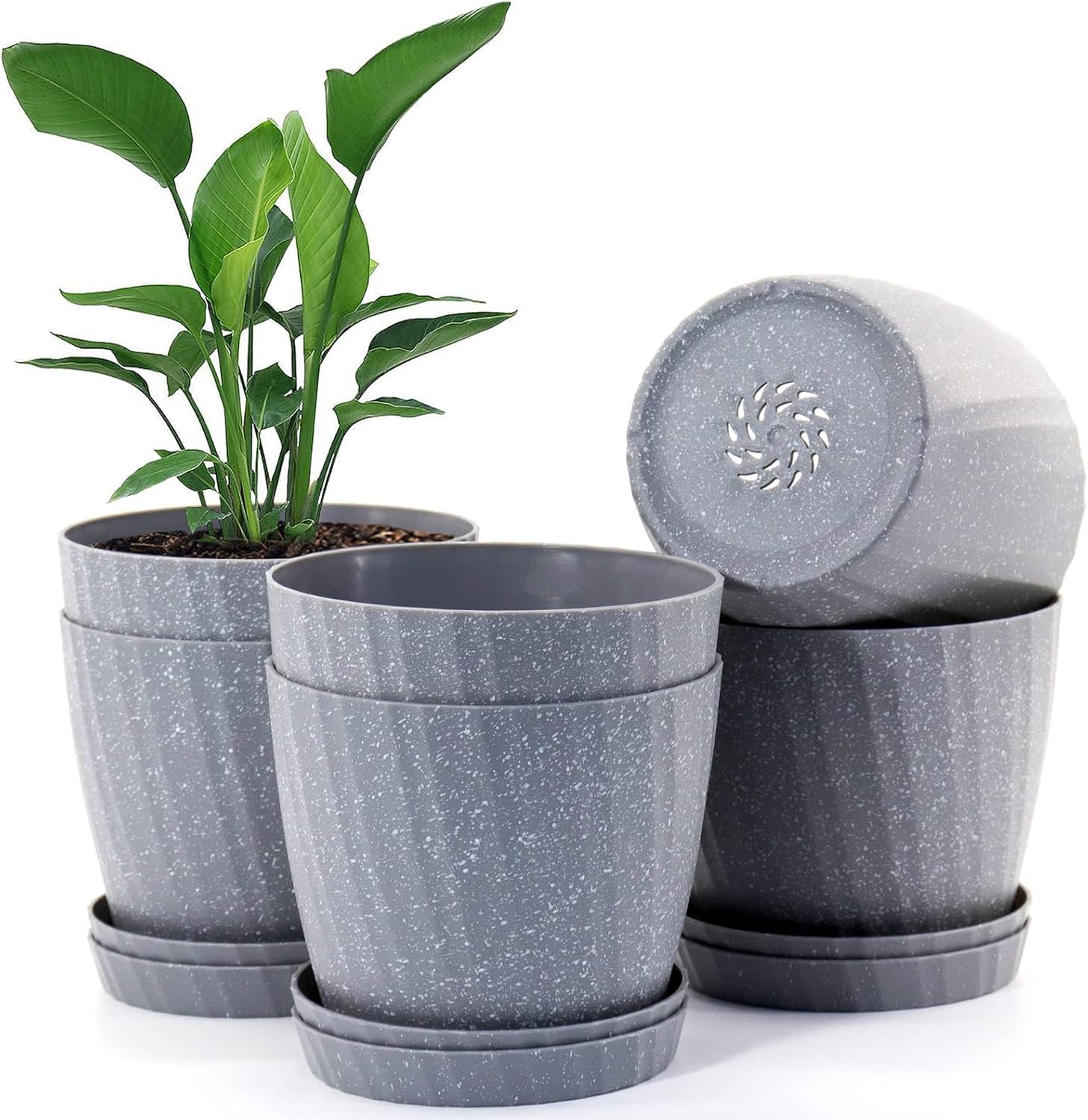 Amazon.com: 7 Inch Plant Pots Bulk, 6 Pack Plastic Planters with ...