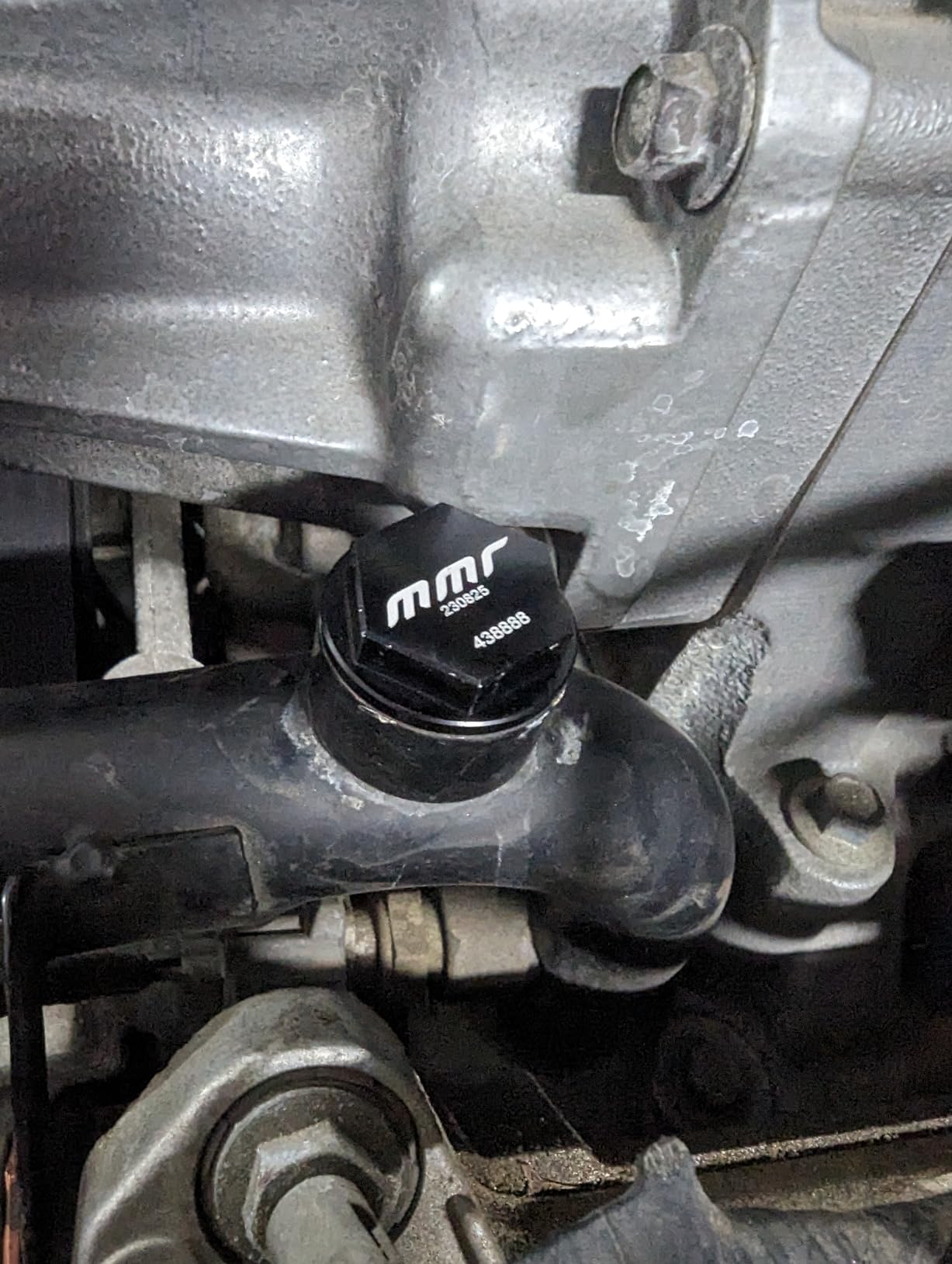 Amazon.com: 1996-2004 4.6 Cobra/Mach One & SVT 4V DOHC Coolant ...