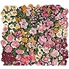 Amazon.com: BLUEEDGERUG Handmade Flower Multicoloured Irregular Area ...