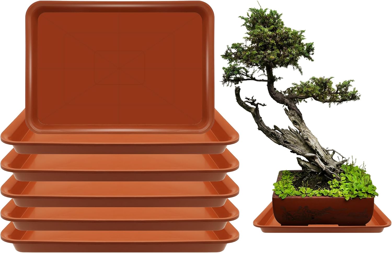 Amazon.com : 6 Pack Rectangle Plant Saucers for 7.8 Inch Pots - Indoor ...