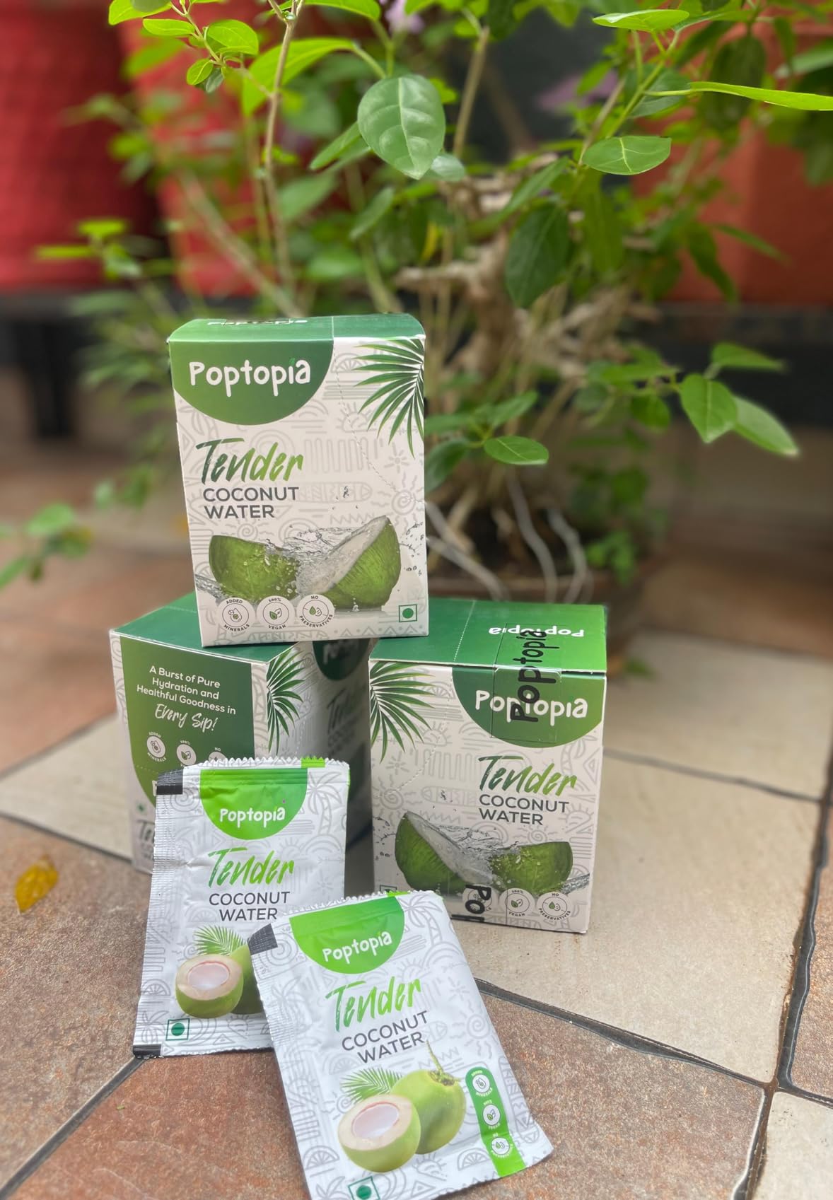 Poptopia Tender Coconut Water Powder | The Coconut CHAMP | Instant ...
