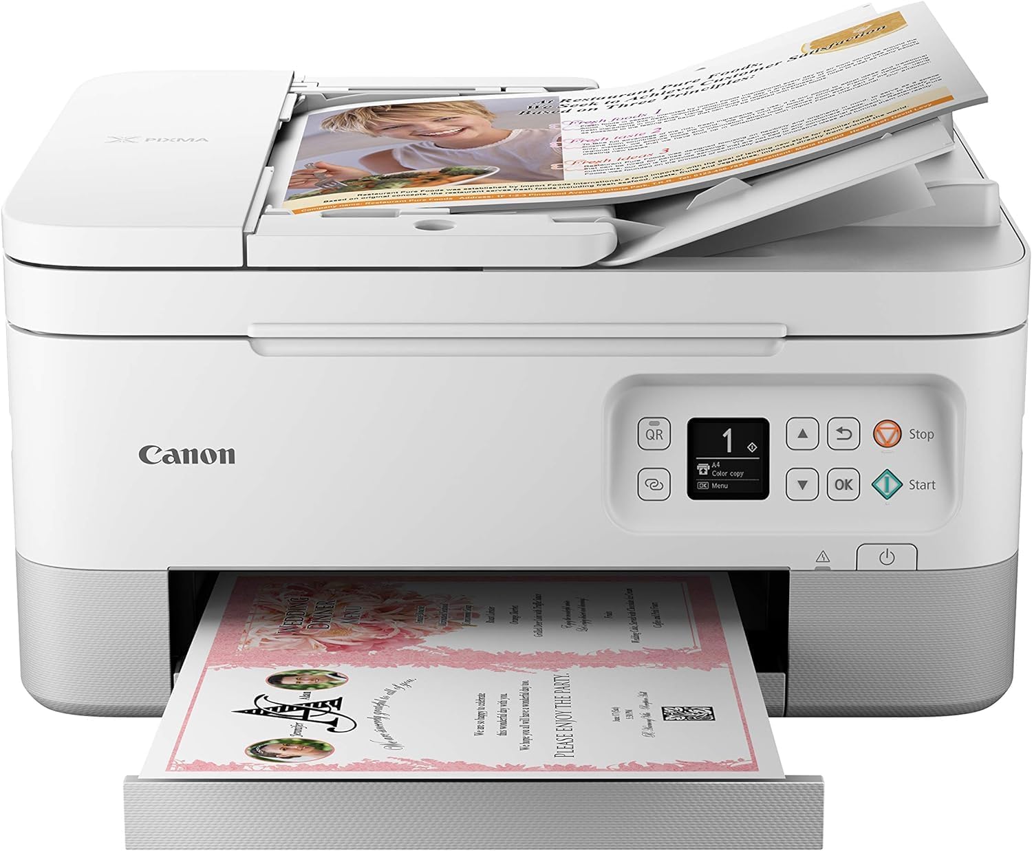 Canon PIXMA MG2525 Photo All-in-One Inkjet Printer with Scanner and ...