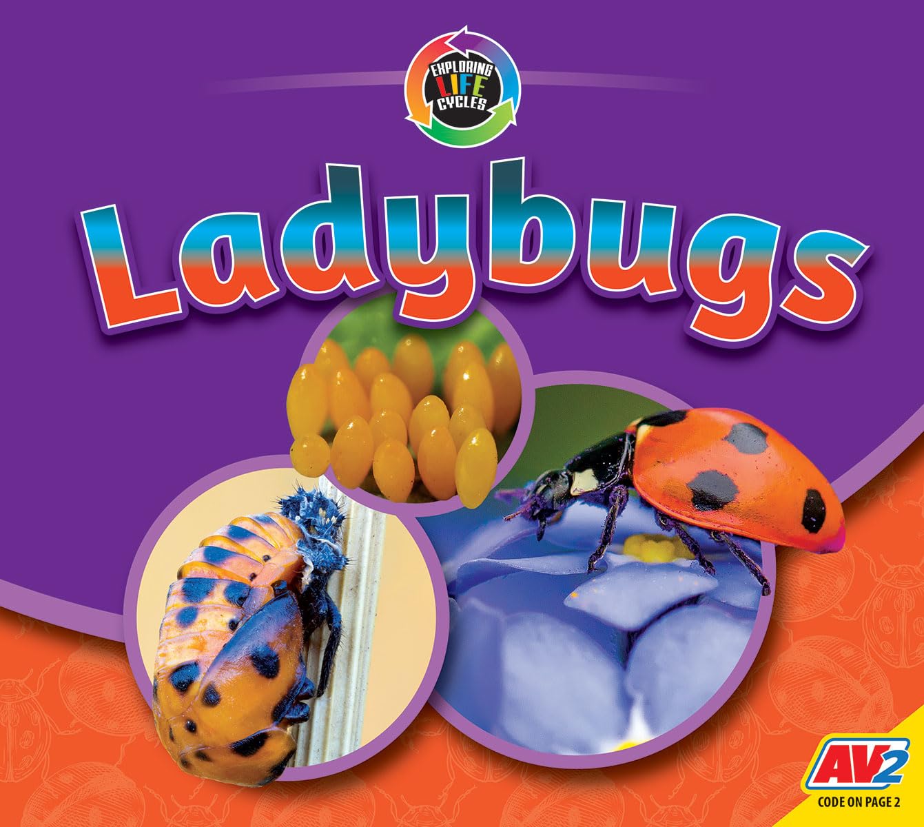 Amazon.com: Ladybugs (Exploring Life Cycles): 9781791127206: Carr ...