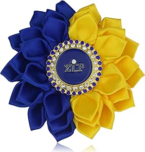 Amazon.com: Rhinestone Sigmaa Gamma Rho Brooch Pin for Women 1922 SGRho ...