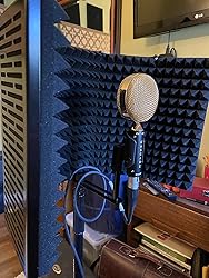 Amazon.com: Microphone Isolation Shield, AGPTEK 5 Foldable Absorbing ...
