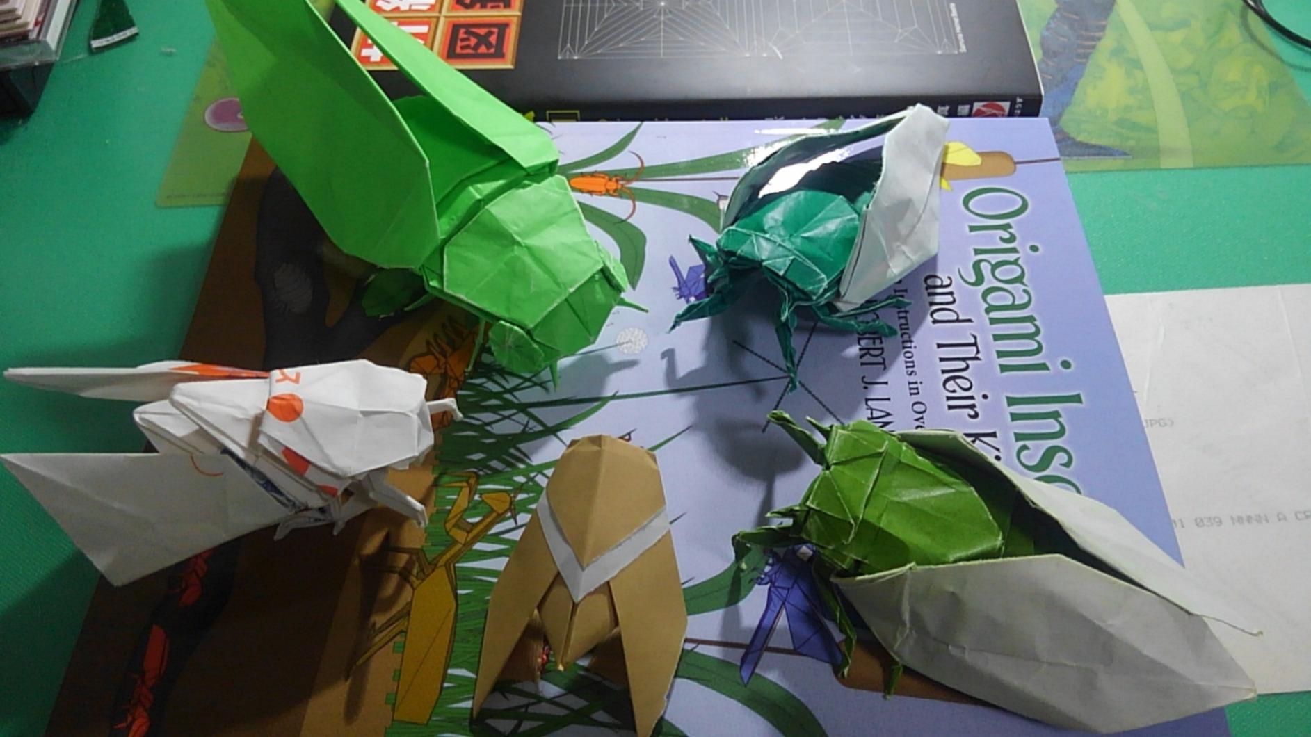 Amazon | Origami Insects and Their Kin: Step-By-Step Instructions in ...