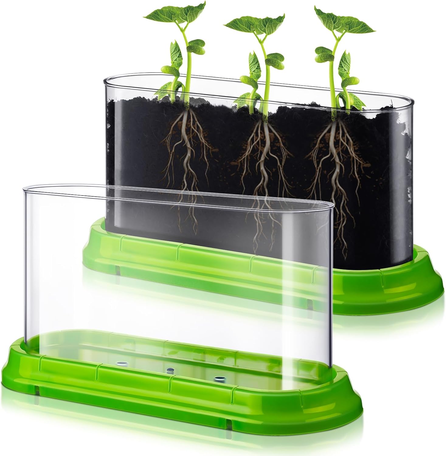 Amazon.com: Domensi 2 Pcs Watch It Grow Plant Viewer Earth Day ...