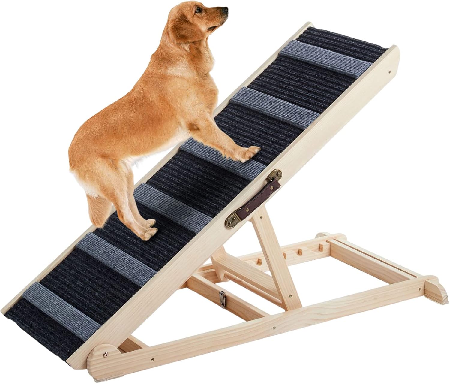 Amazon.com : Dog Ramp for Bed, Adjustable Folding Pet Ramp for Large ...