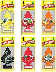 Little Trees Assorted Air Freshener Fruit (Pack of 24) : Amazon.com.au ...