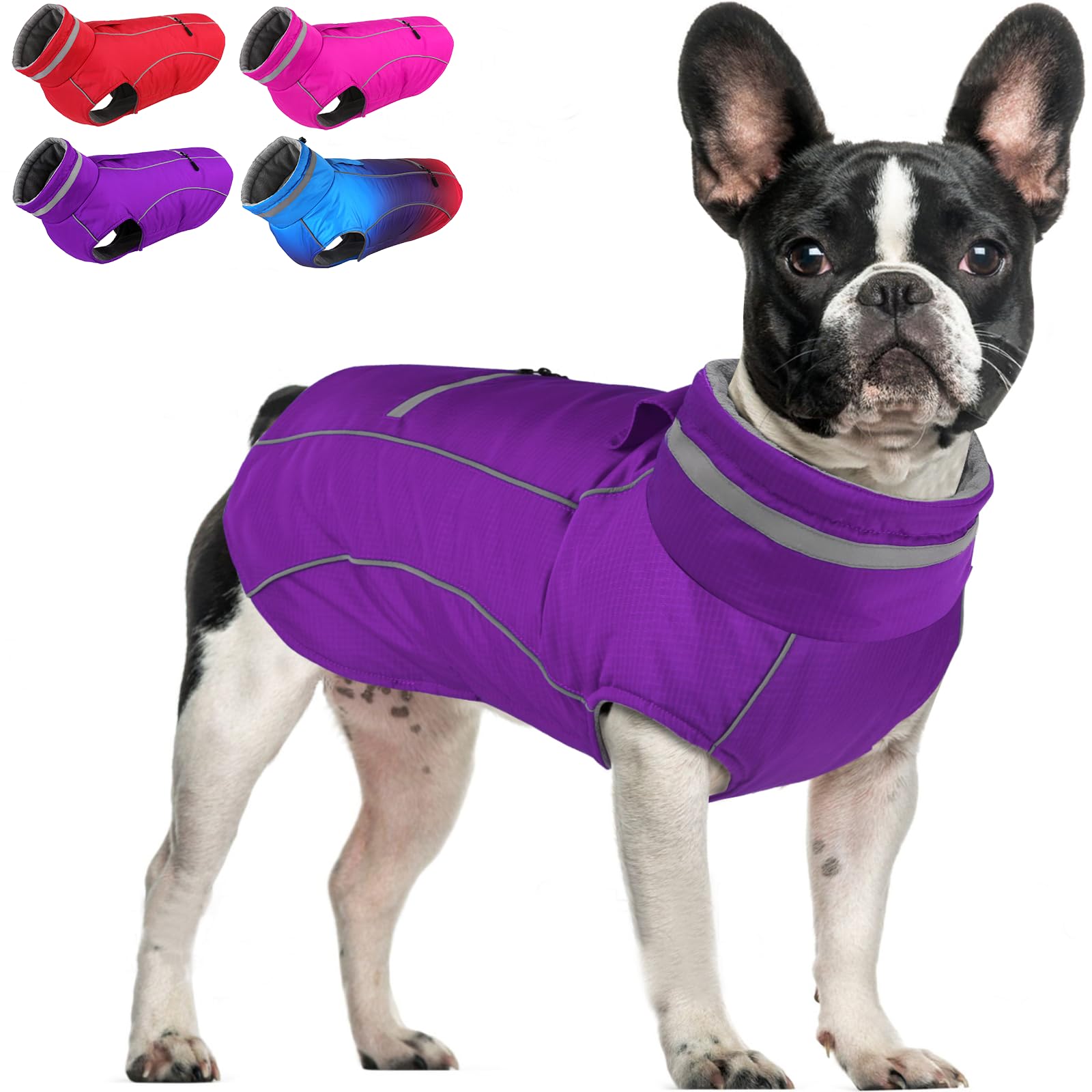 Amazon.com : Doglay Dog Coats, Waterproof Dog Jacket with Pocket ...