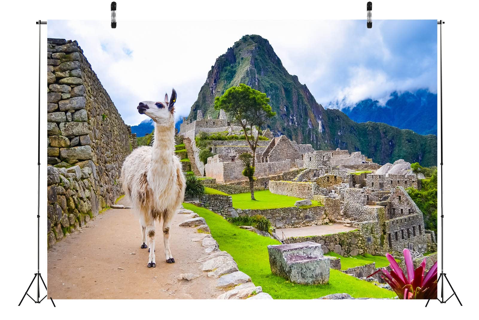 Snapklik.com : 5x3ft Fabric Machu Picchu Backdrop For Photography ...