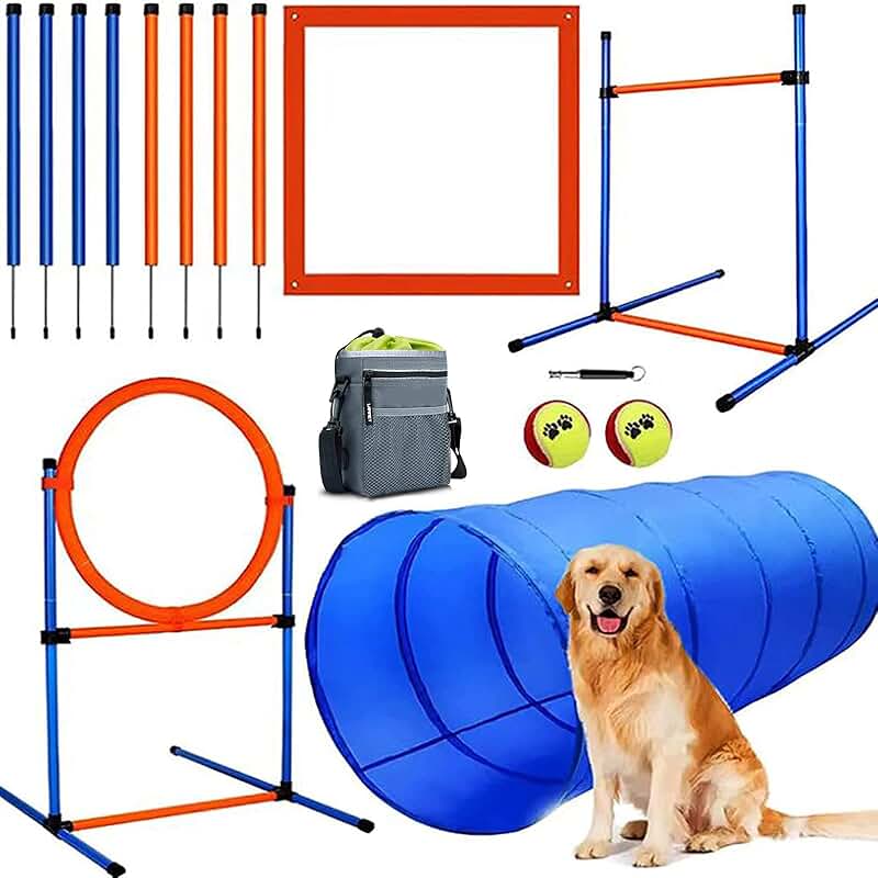 Amazon.com: Dog Agility Equipment - Dog Agility Equipment / Dog ...