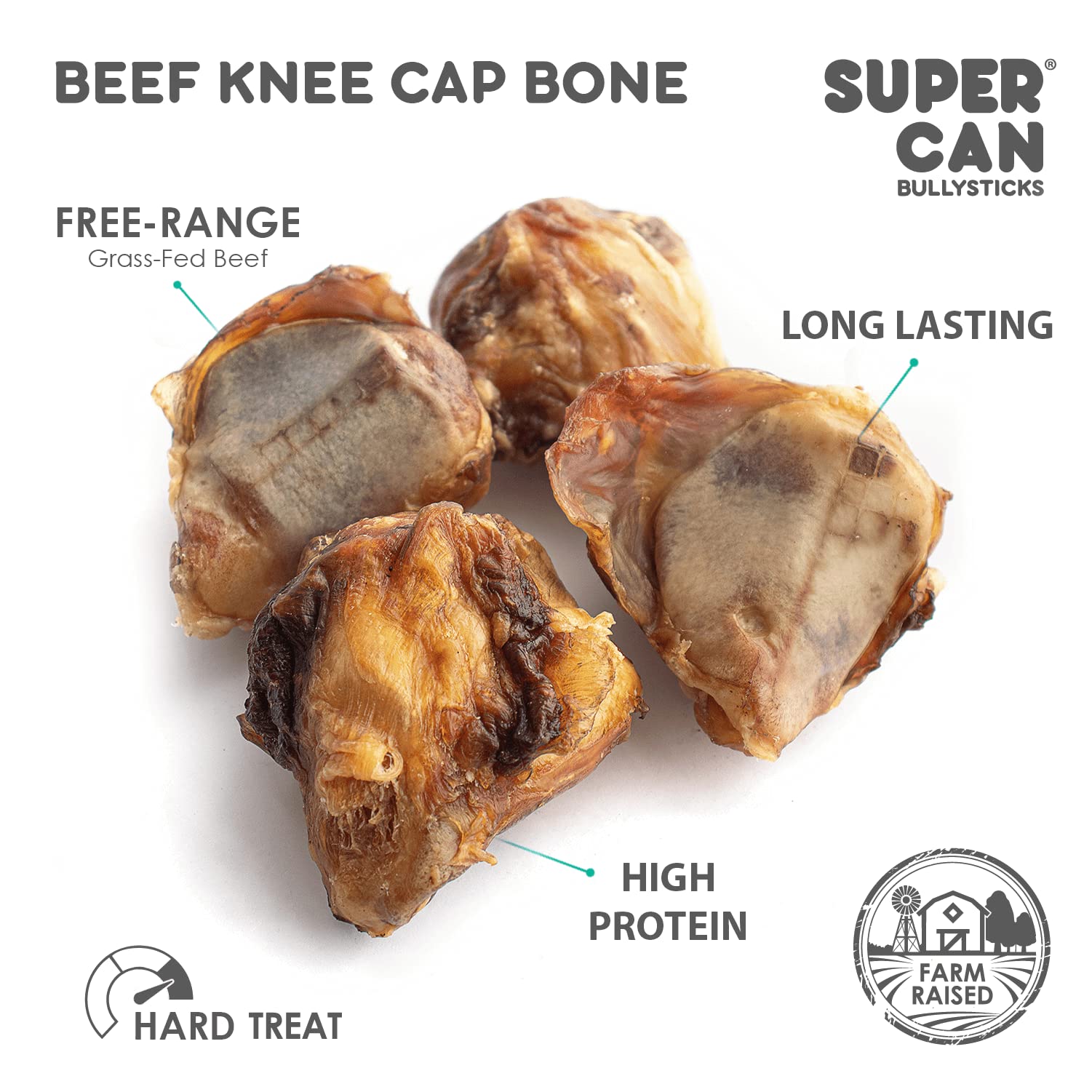 Are Knee Cap Bones Safe For Dogs
