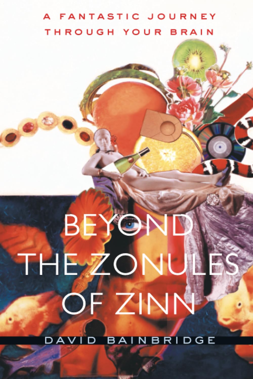 Beyond the Zonules of Zinn: A Fantastic Journey Through Your Brain ...