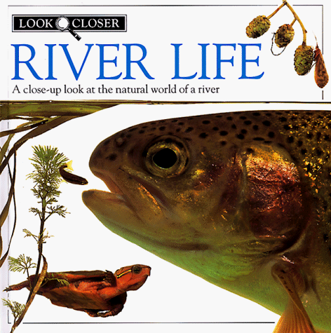Amazon | River Life (Look Closer) | Greenaway, Frank, Greenaway, Frank, Taylor, Barbara | Diseases