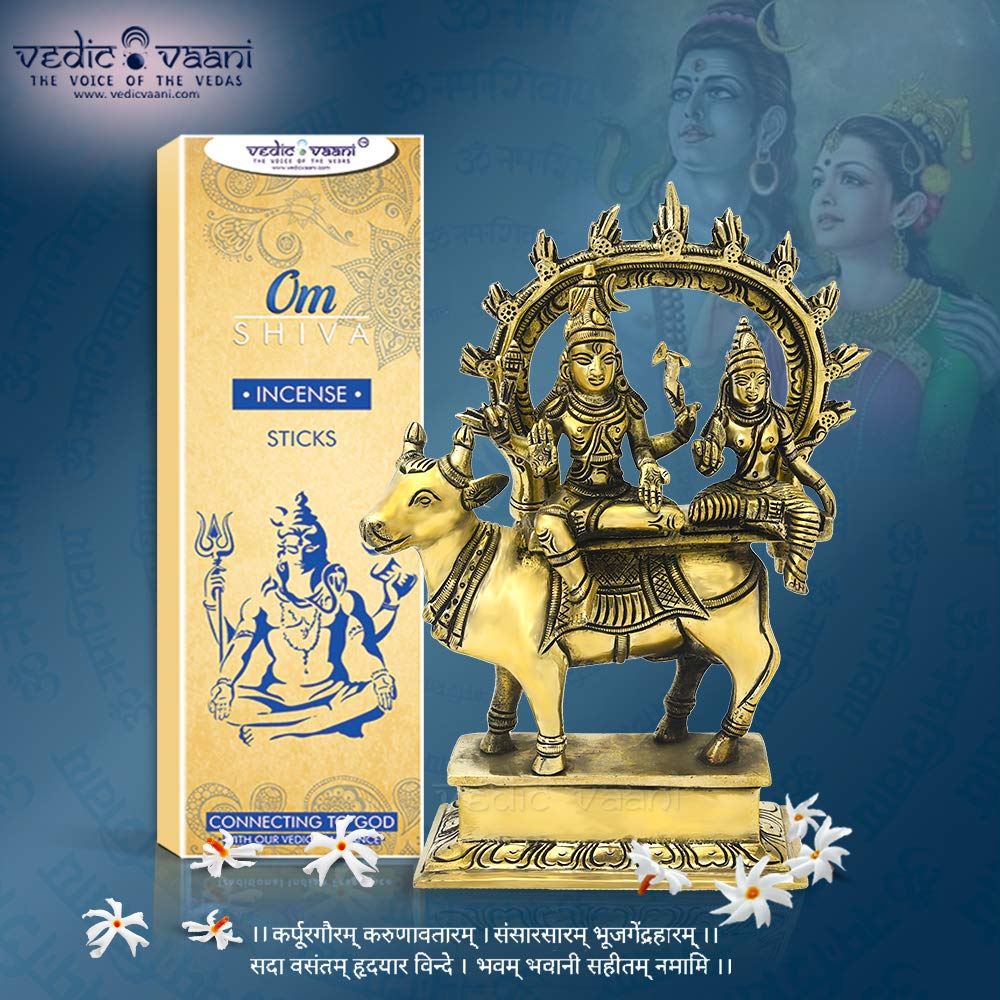 Buy Vedic Vaani Sanctified Spiritual Hindu Deity Lord Shiva Shankra ...