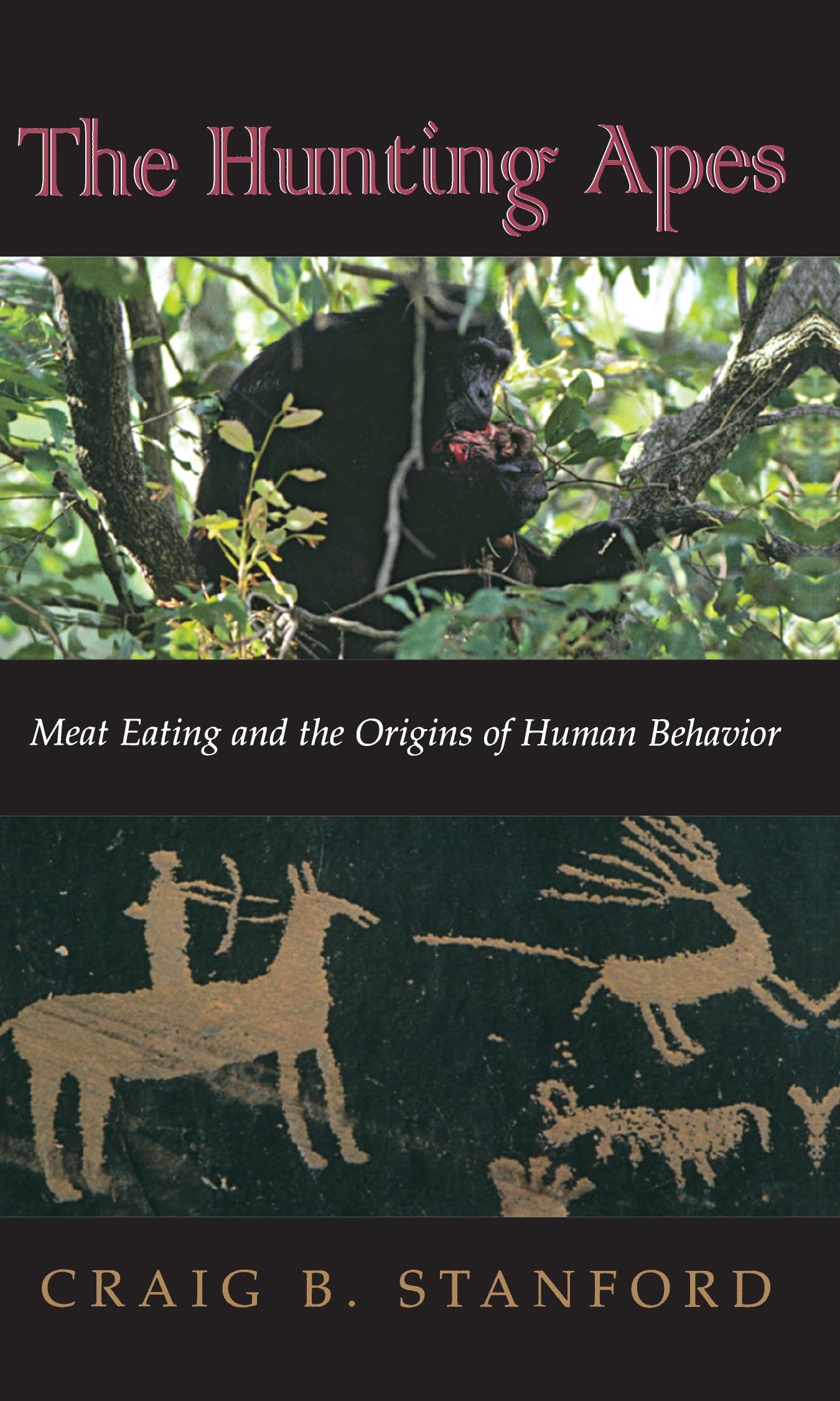 Amazon.com: The Hunting Apes: Meat Eating and the Origins of Human ...