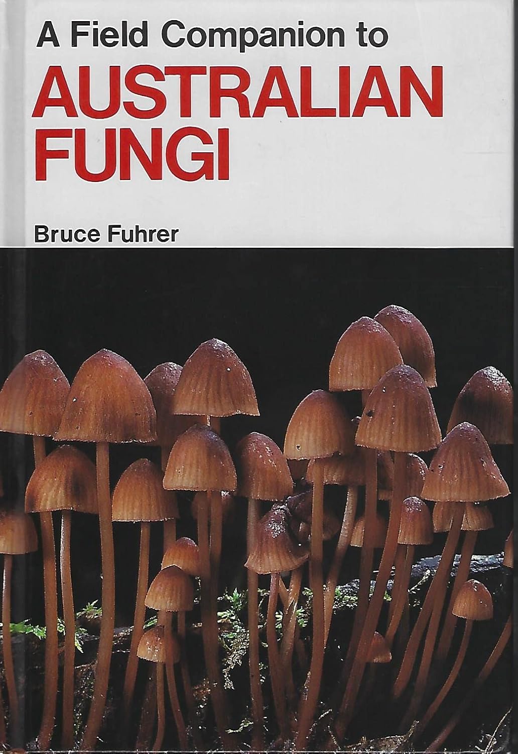 A field companion to Australian fungi: B. Fuhrer: 9780959807479: Amazon ...