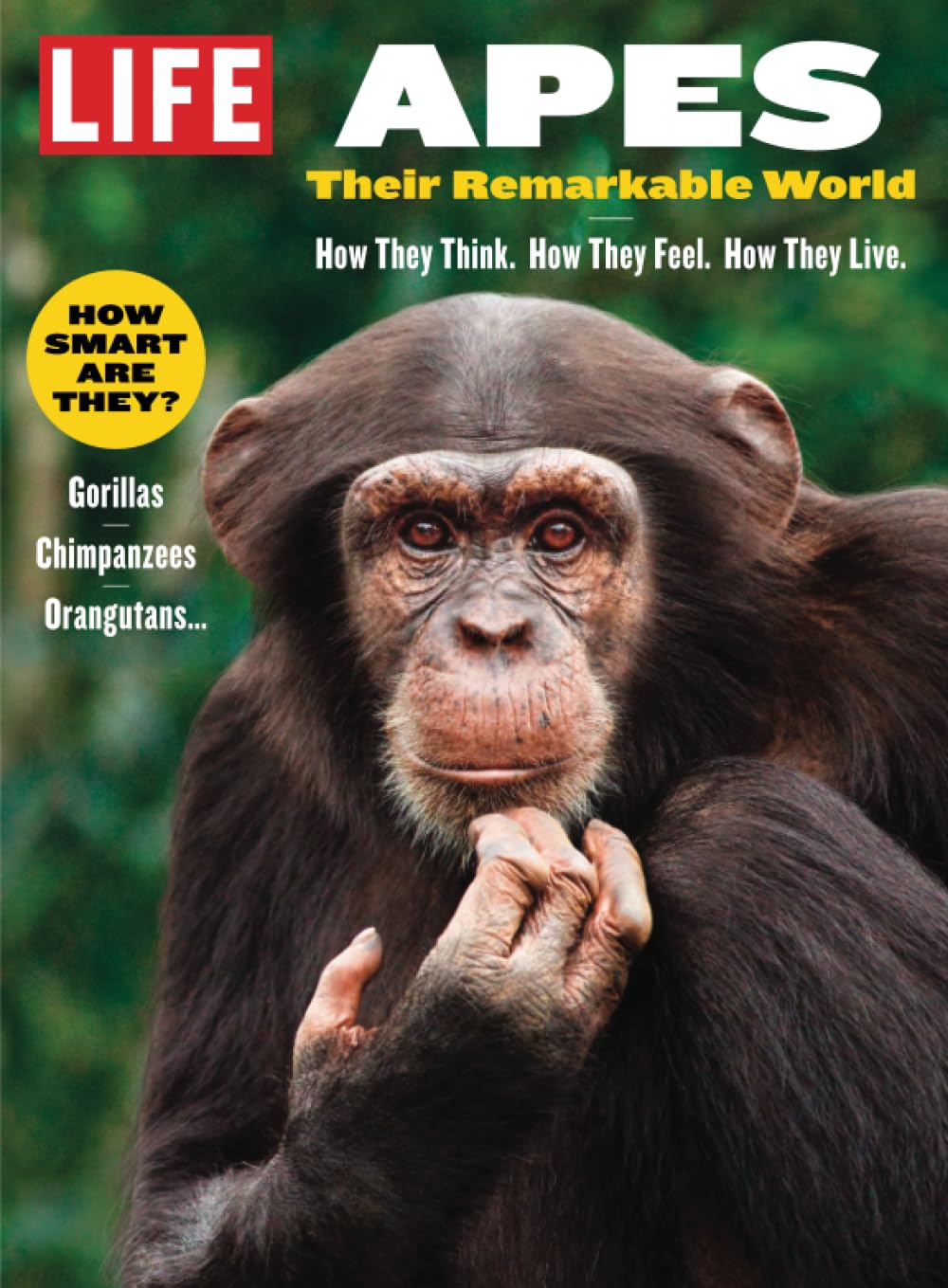 LIFE Apes: The Editors of LIFE: 9781547866007: Amazon.com: Books