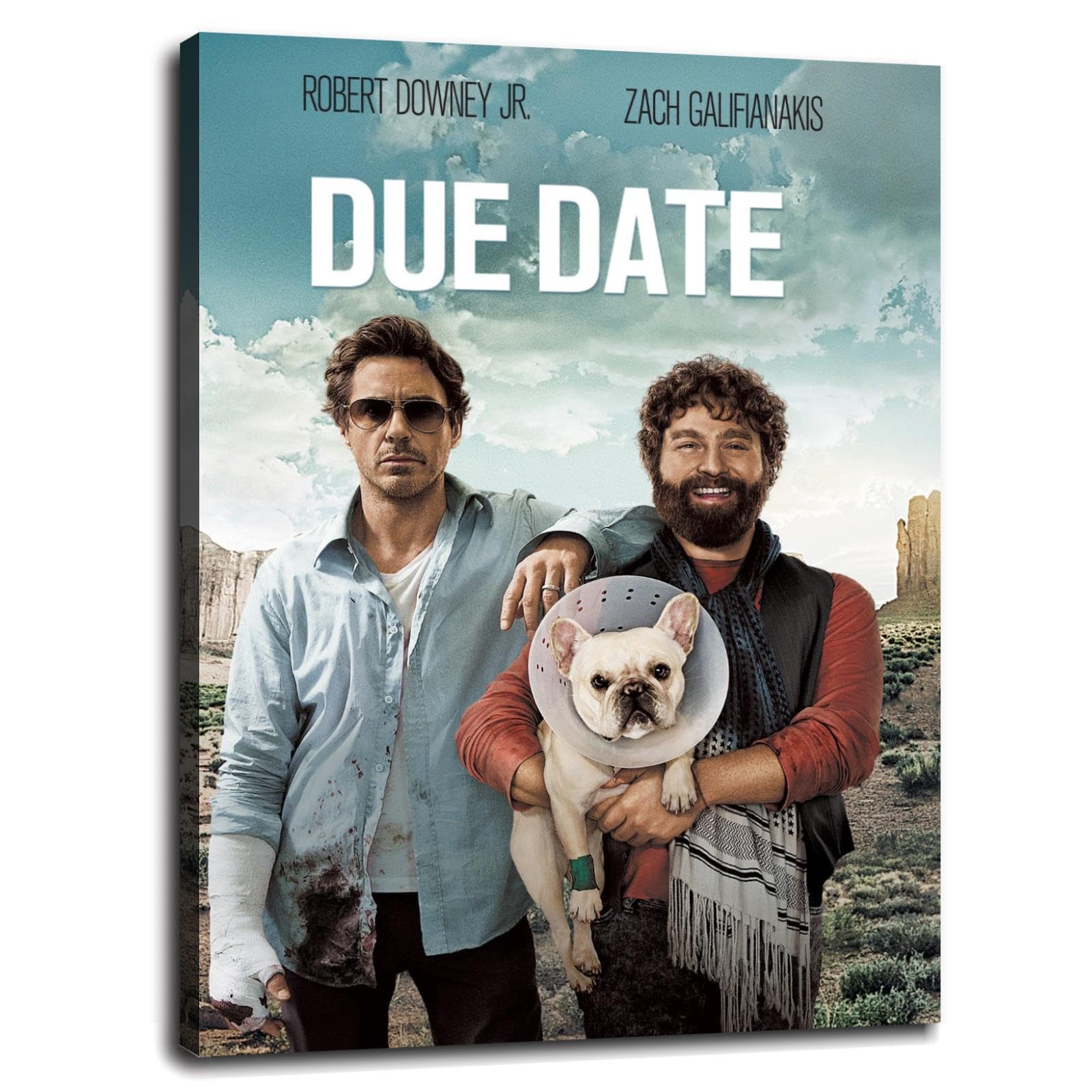Due Date Movie Poster