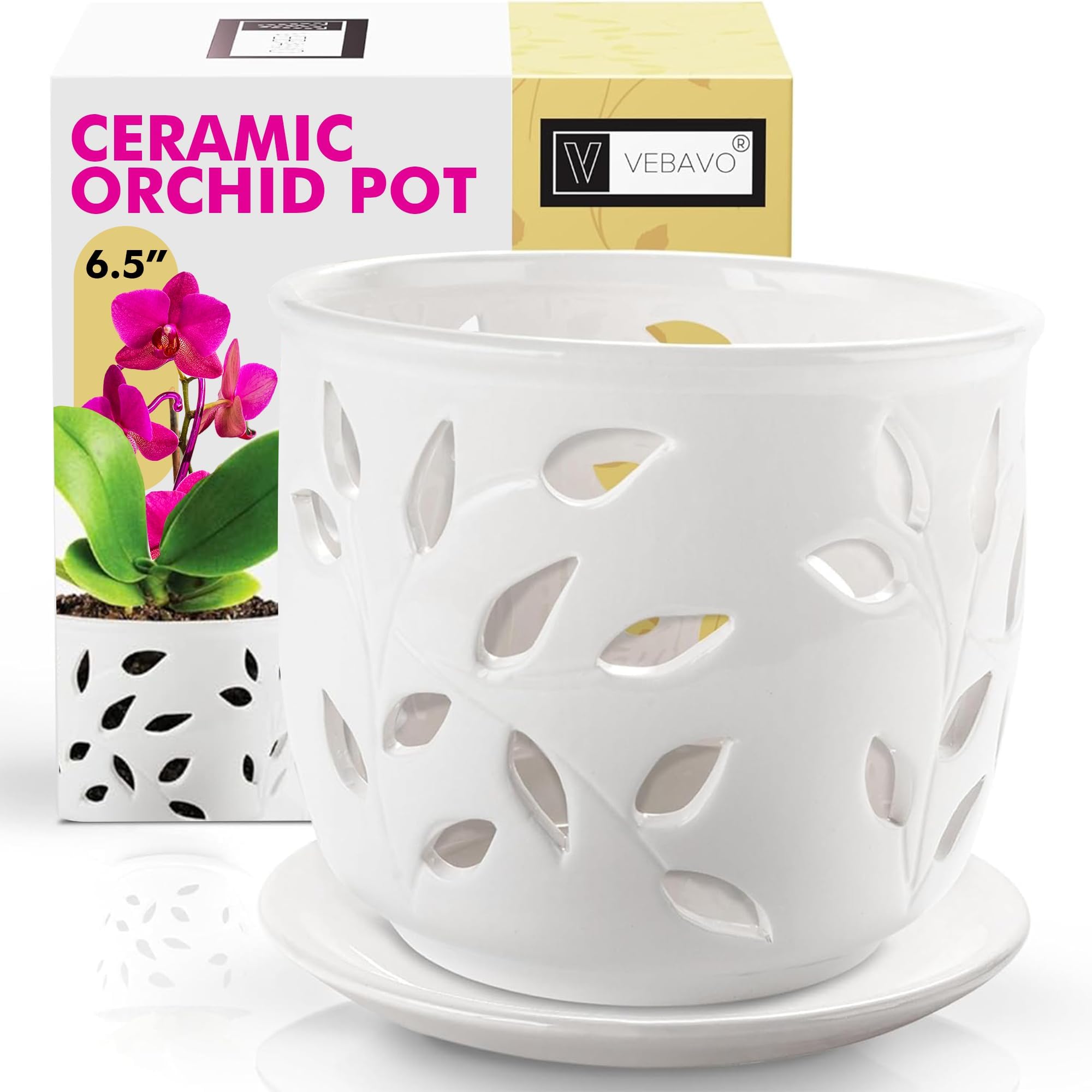 Amazon.com: Meshpot 8 Inch Orchid Pots with Holes and Saucers,Double ...