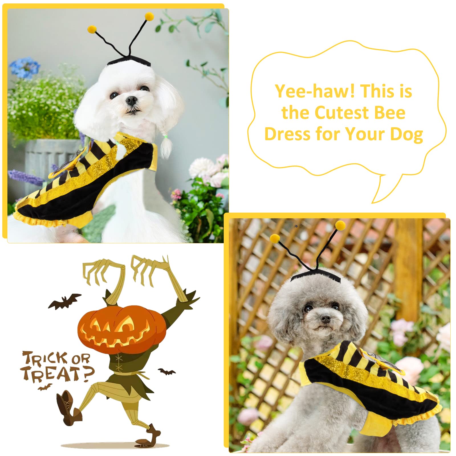 Snapklik.com : Bee Bumblebee Dog Halloween Costumes For Small Medium Dogs