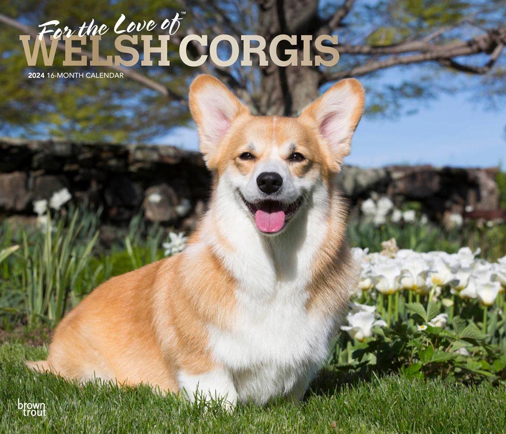 For the Love of Welsh Corgis | 2024 14 x 24 Inch Monthly Deluxe Wall ...