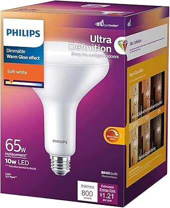 PHILIPS LED Frosted Dimmable, Warm Glow Effect BR40 Light Bulb ...