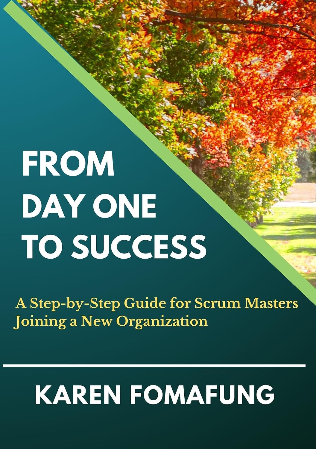 Amazon.com: From Day One to Success: A Step-by-Step Guide for Scrum ...