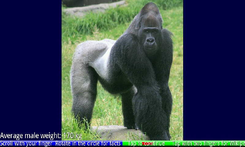 How Heavy Am I? 1 - App on Amazon Appstore