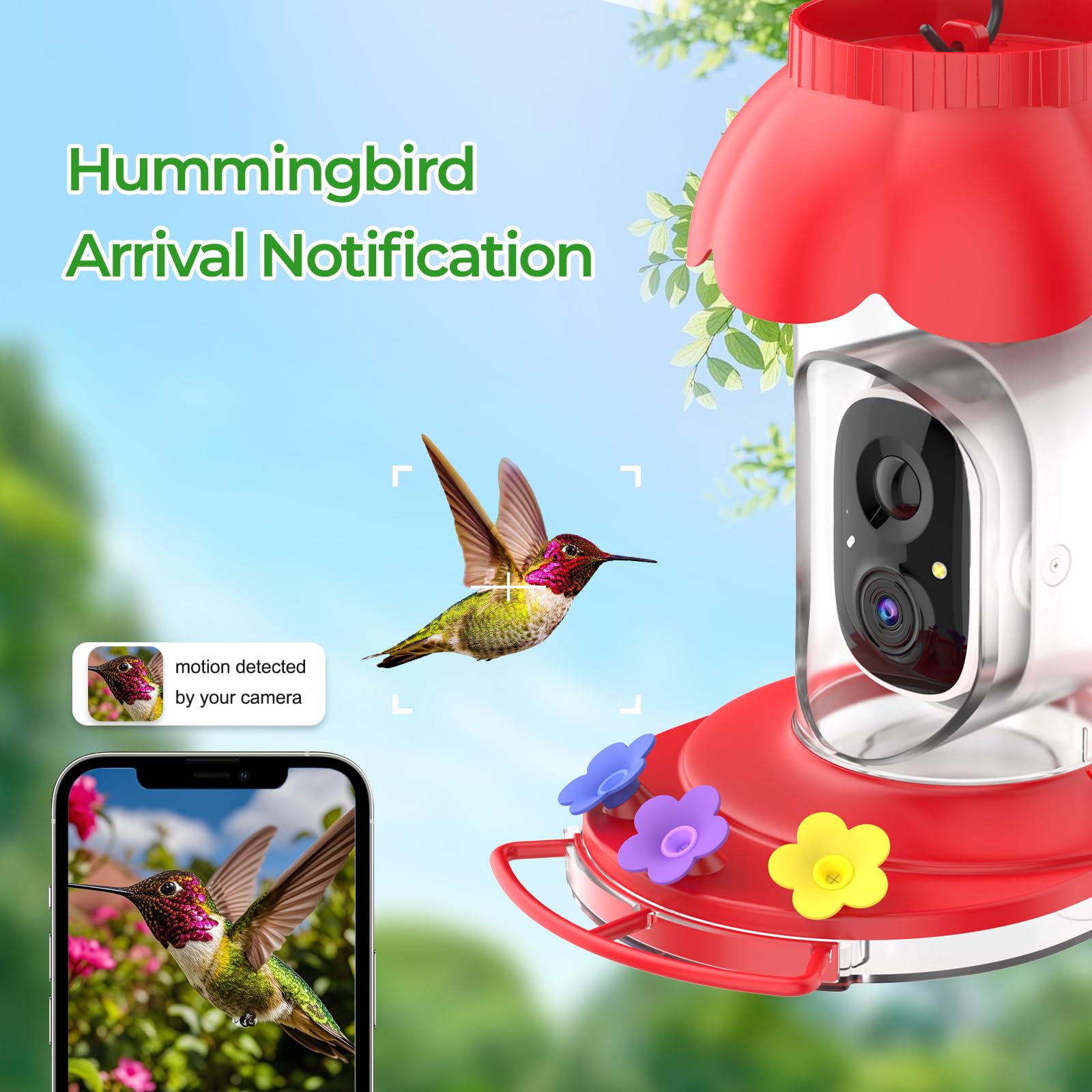 Hummingbird Spy Camera Bird Buddy Pro Bird Buddy Is Introducing