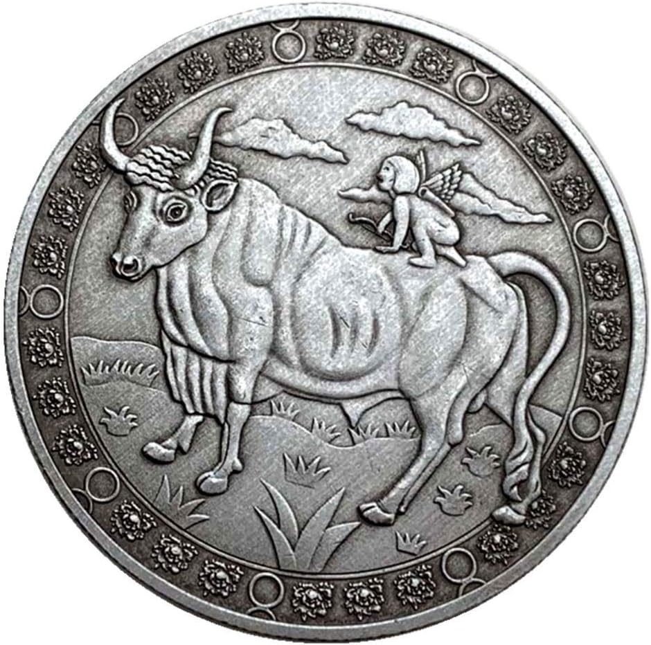 Amazon.com: VanSP Constellation Coins Commemorative Antique Lucky ...