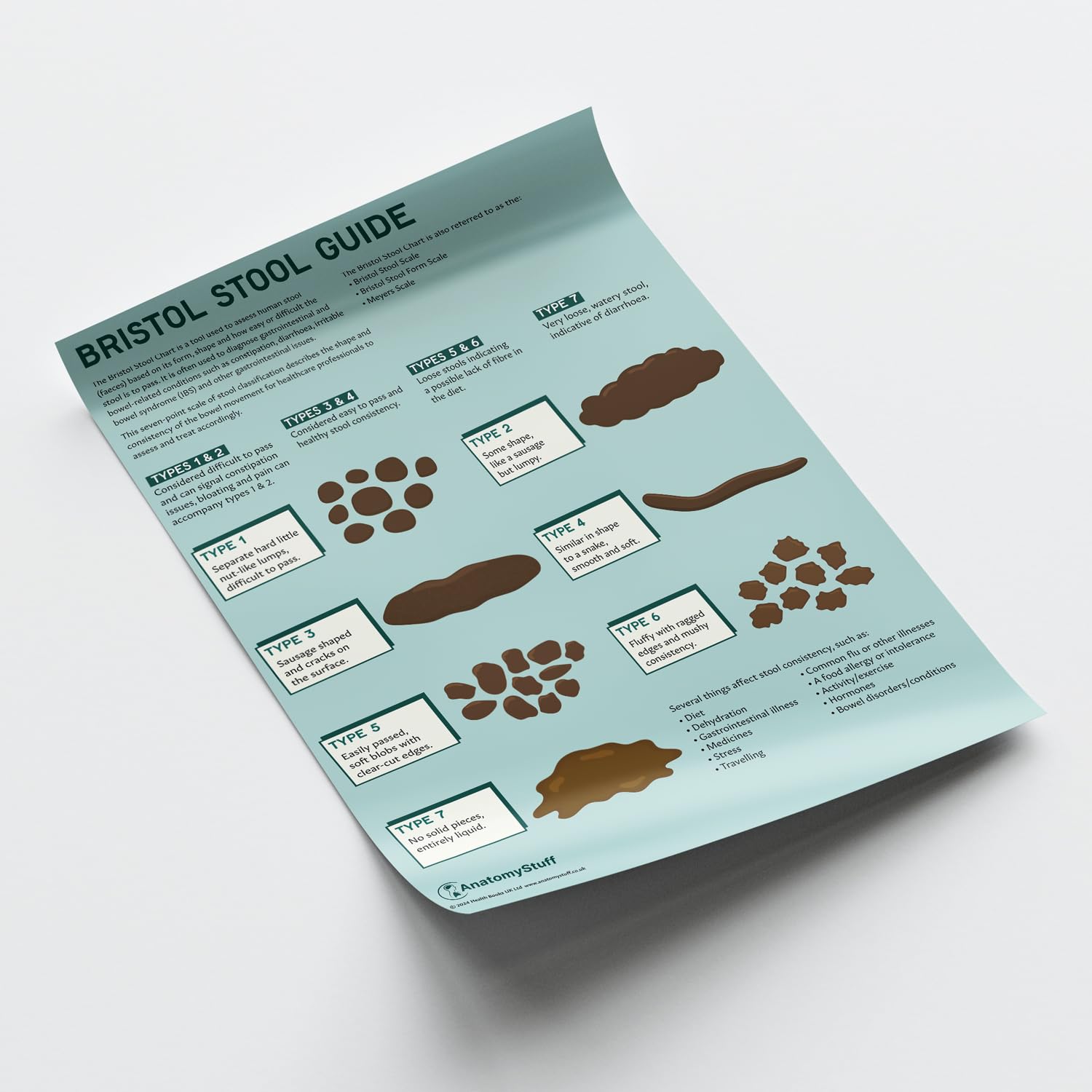 Bristol Stool Form Scale Poster