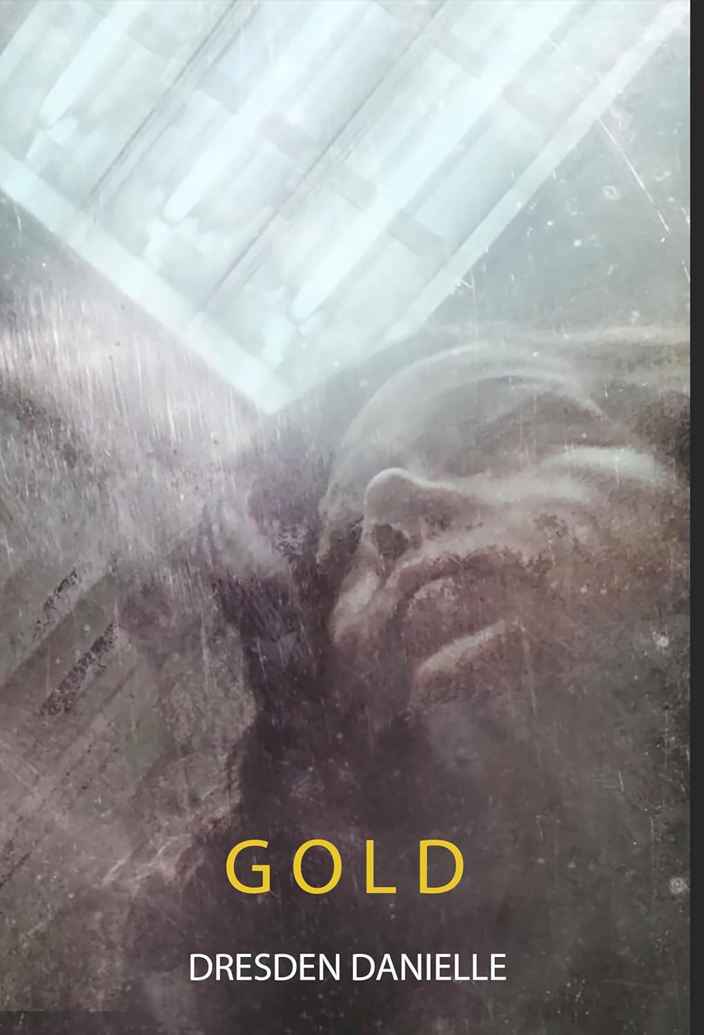 Gold eBook : Danielle, Dresden: Amazon.ca: Kindle Store