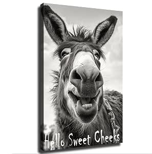 Amazon.com: VesFy Funny Donkey-Hello Sweet Cheeks-Donkey Poster ...