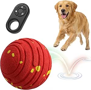 Pet Supplies : TBC PET Interactive Dog Toys with Remote Control, Smart ...