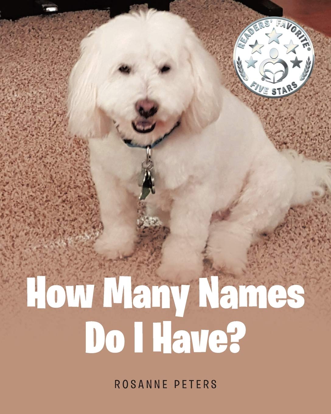 Book review of How Many Names Do I Have? - Readers' Favorite: Book ...