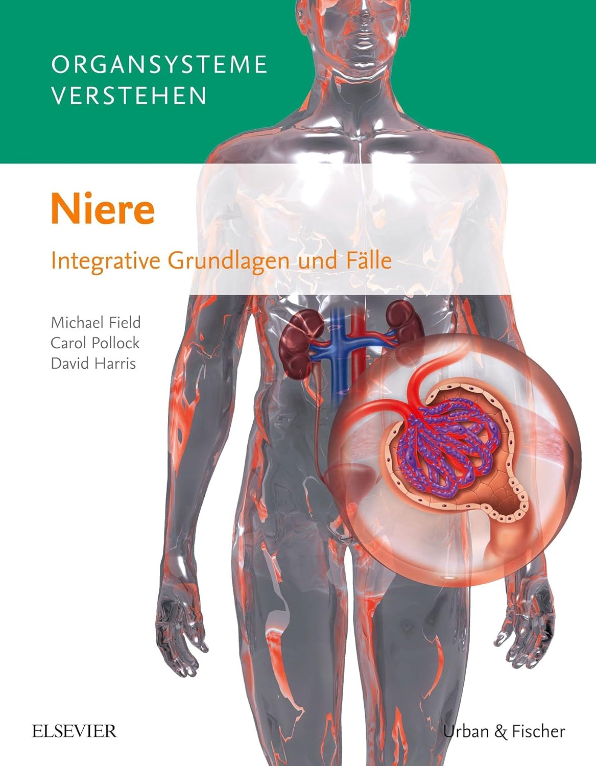 Amazon.com: Organsysteme verstehen - Niere: Integrative Grundlagen und ...