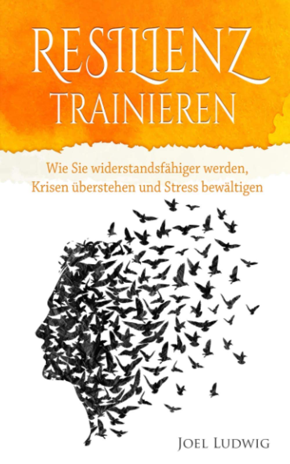 Resilienz trainieren: Wie Sie widerstandsfähiger werden, Krisen ...